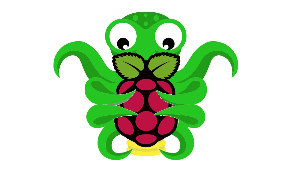 A Comprehensive Guide to Setting Up OctoPrint on Raspberry Pi – Pi Australia